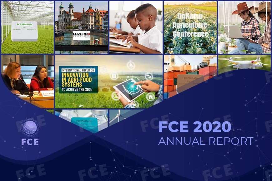 FCE 2020 Annual Report