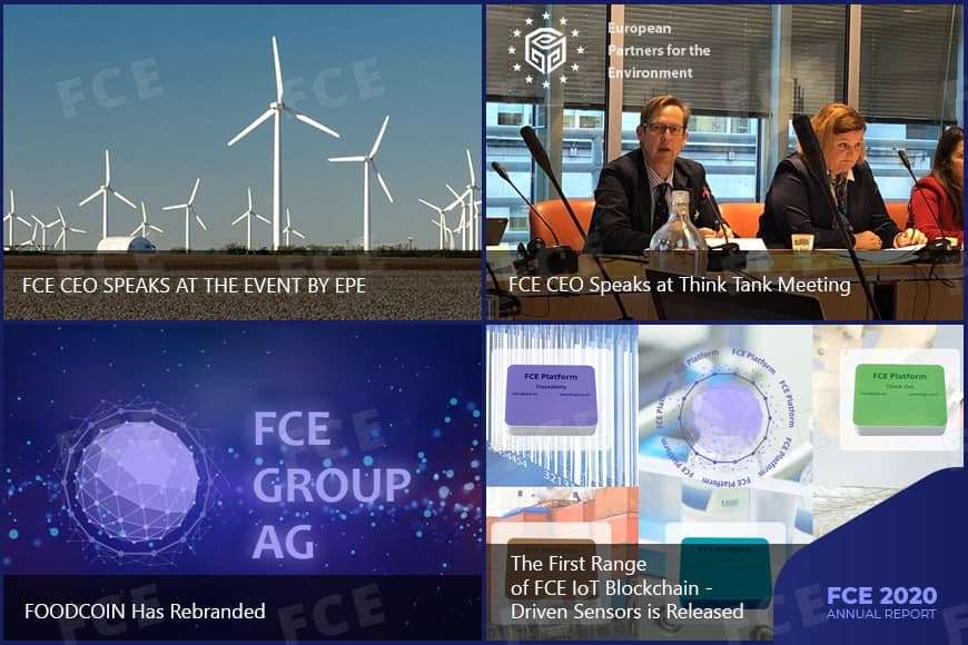 FCE 2020 Annual Report