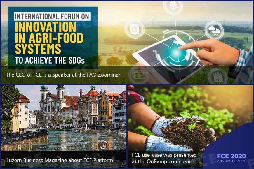 FCE 2020 Annual Report