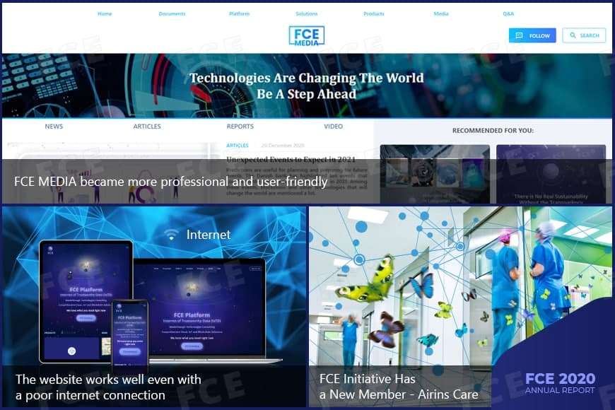 FCE 2020 Annual Report