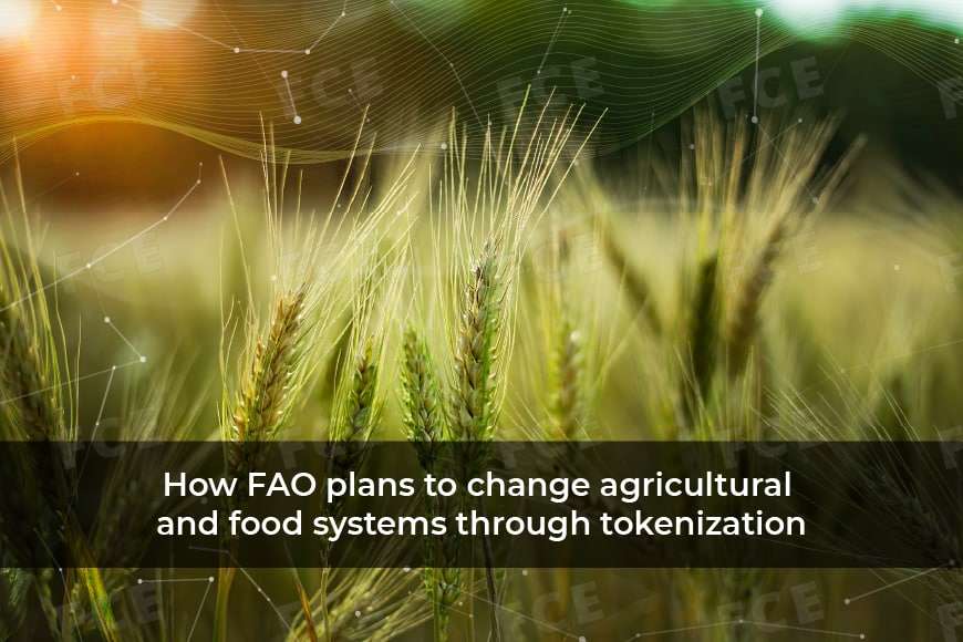 How FAO plans to change agricultural and food systems through tokenization