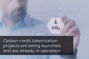 The challenges of carbon credit tokenization
