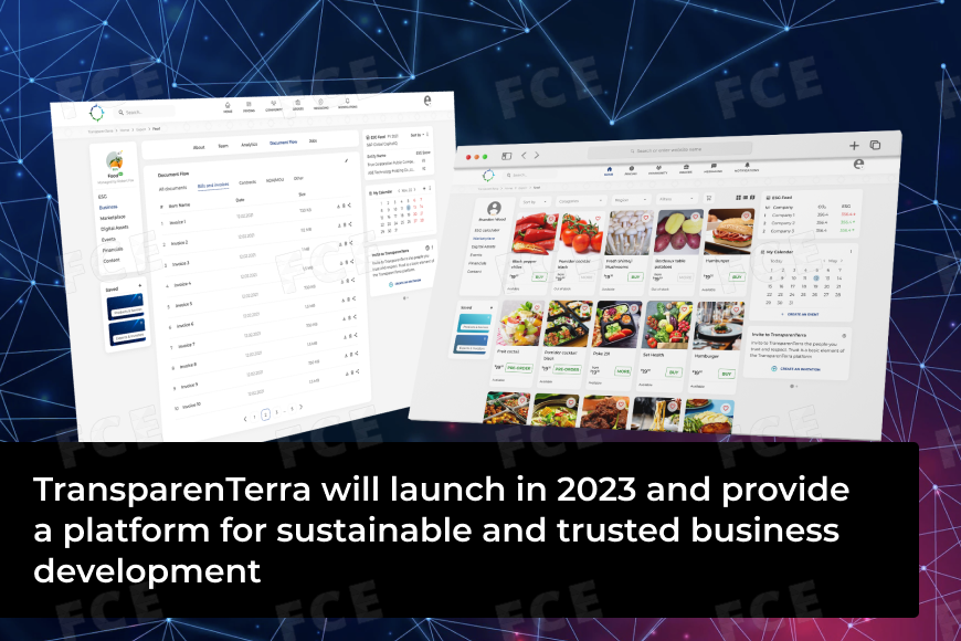 FCE Group 2022 Annual Report